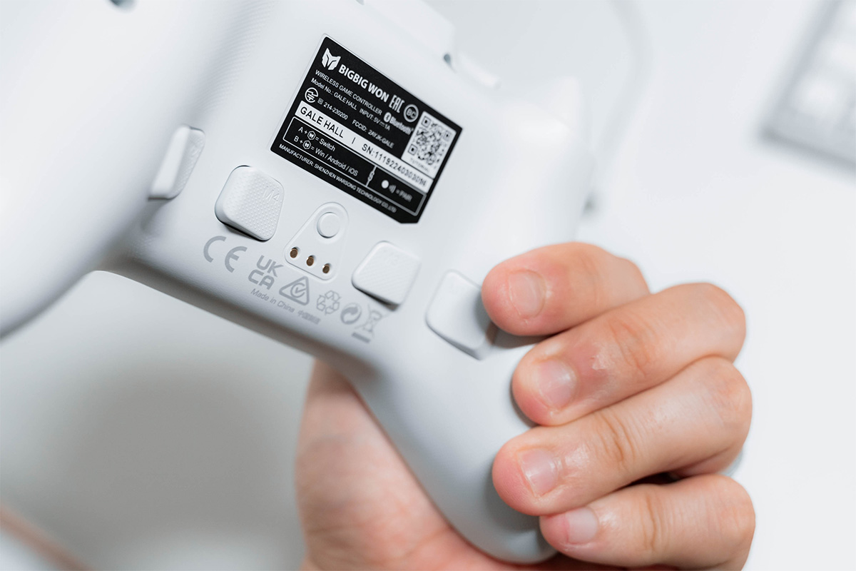 BIGBIG WON Gale Hall レビュー | ホールセンサースティック搭載のゲームコントローラー