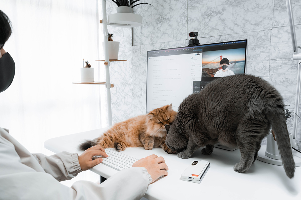 OBSBOT Tiny 2 レビュー | AI搭載の4K解像度対応の高機能Webカメラ | kazlog | ガジェットレビューと暮らしに役立つモノ紹介ブログ